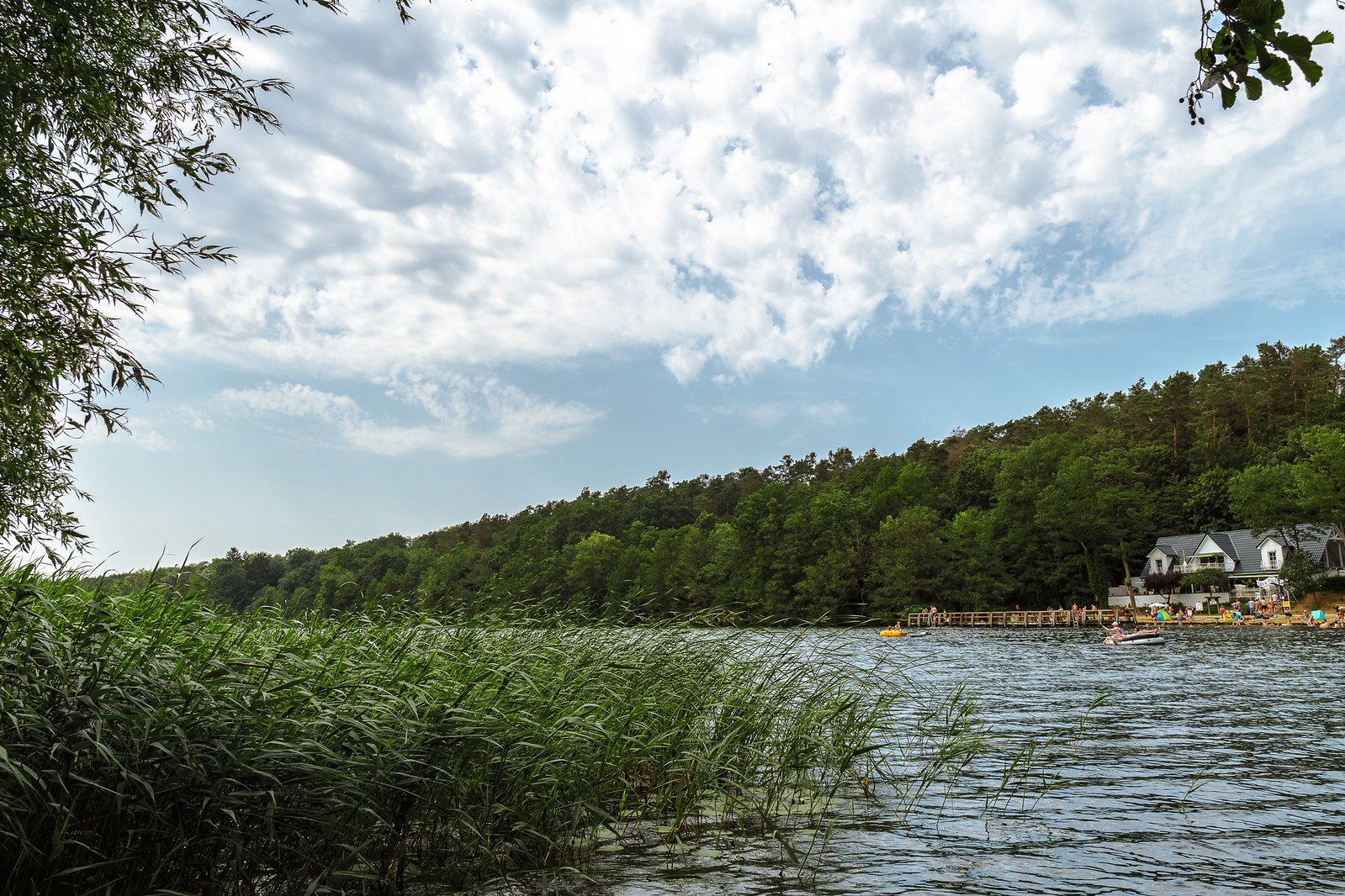 Seewanderung: Obersee Lanke