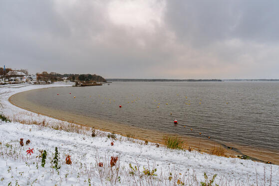 Seewanderung: Senftenberger See